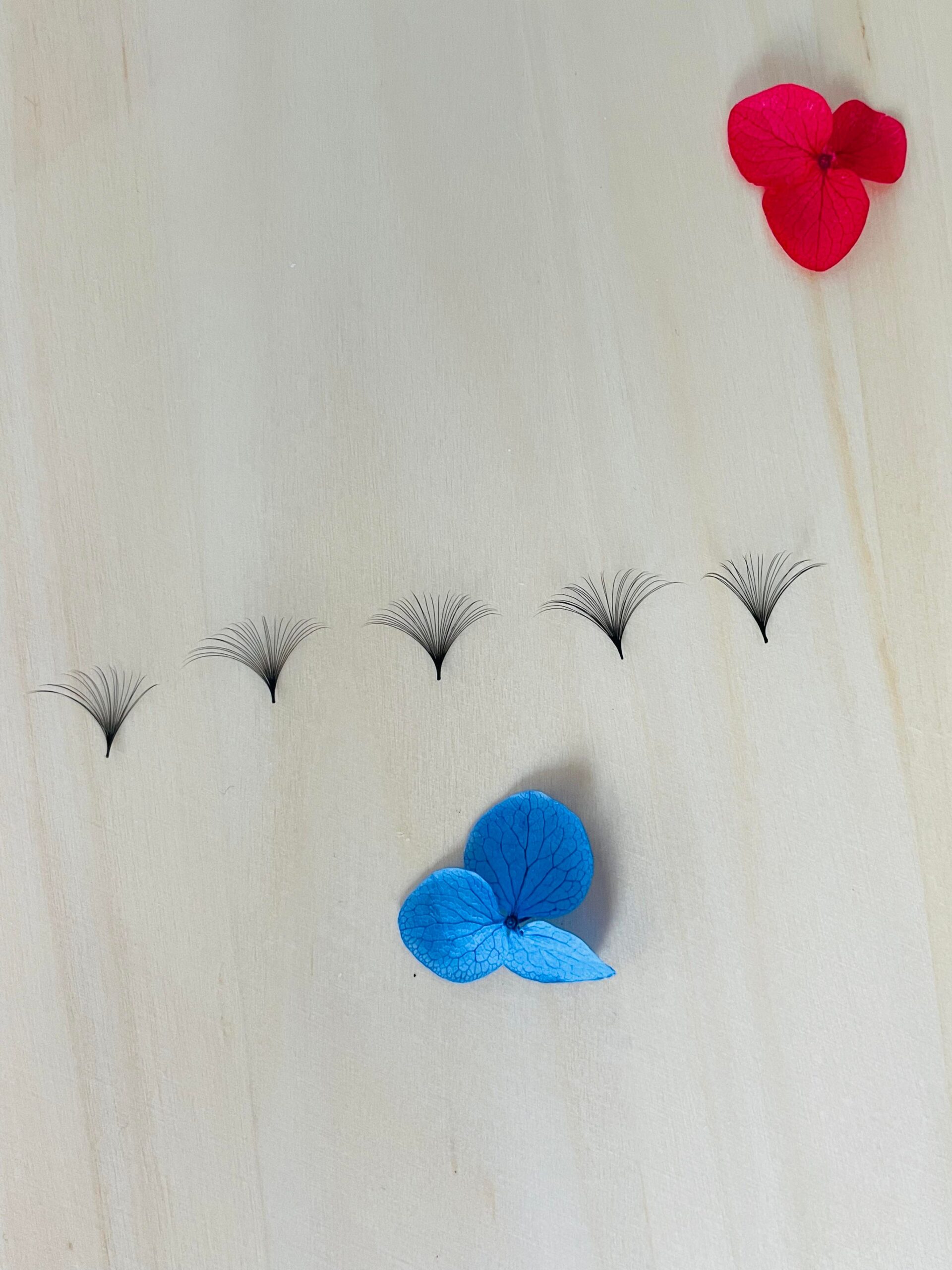 100% Handmade Fans 15D (500 faner) – Allurenlashes.com